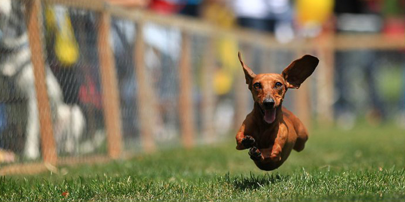 Clout - Grid Therapy