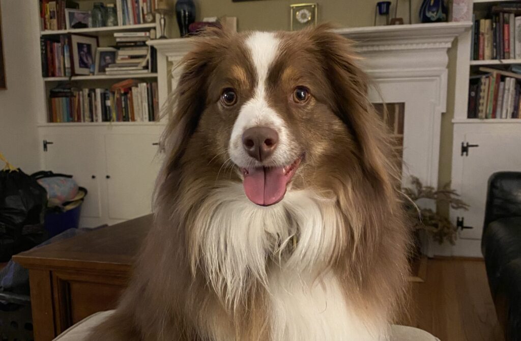 Free Association 81 - Grid Therapy